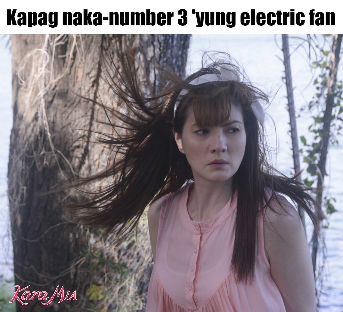 Laugh Out Loud with Memes from GMA Telebabad Series’ ‘Kara Mia’ – HYPE ...