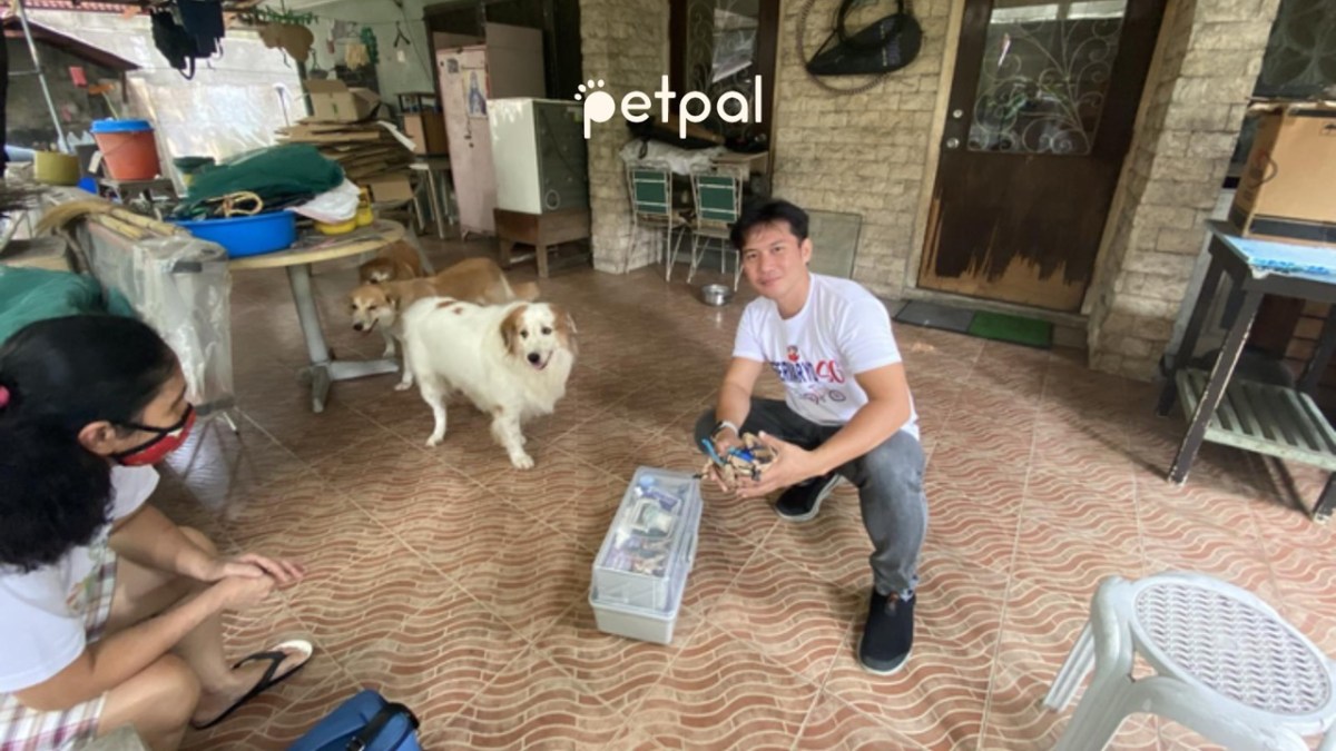PH’s largest venture builder, 917Ventures, targets US$1.6 billion pet ...